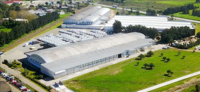 Grupo Gandini - Referência Setor Automotivo - Kia Brasil